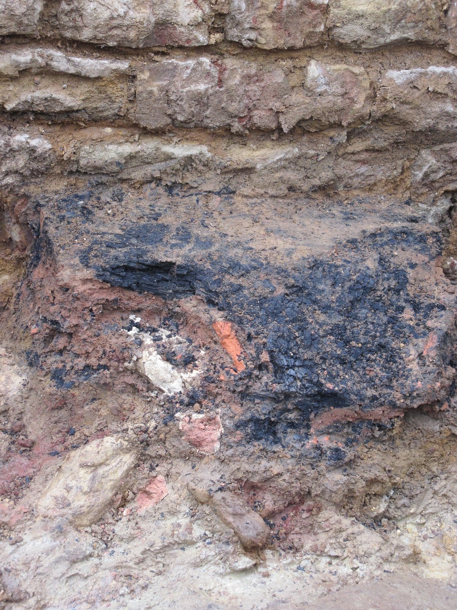 La pars rustica - Bulinei Villa